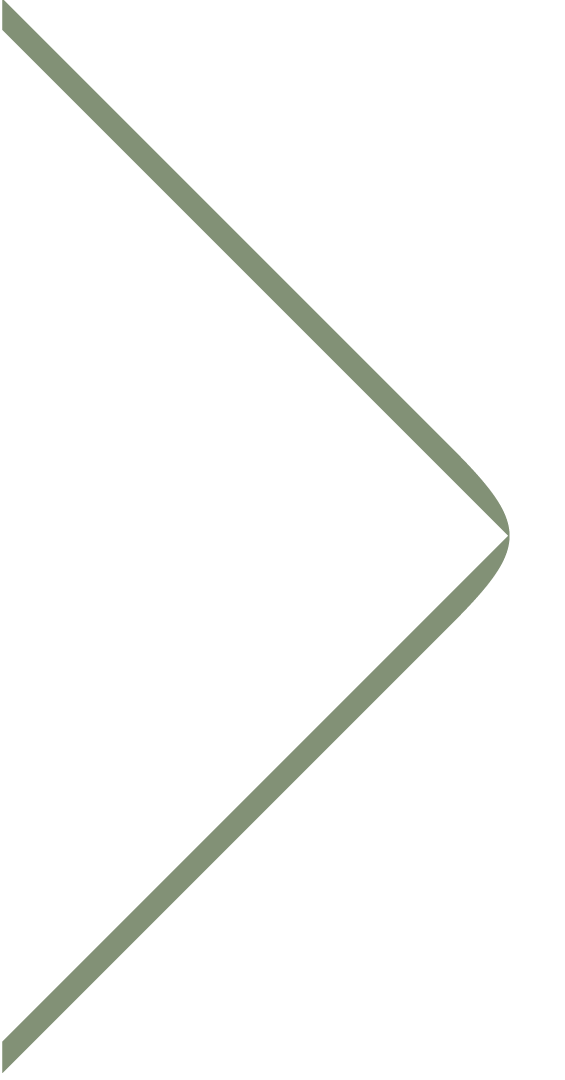 What we do - DVC Partners